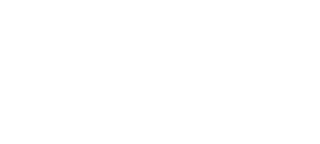 Accessibility Statement - Official Website of Dale Earnhardt Jr.